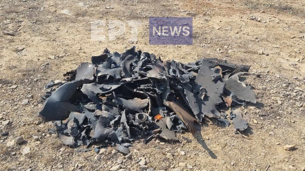 Αποκαρδιωτική η εικόνα μετά την μεγάλη πυρκαγιά στη Μαγνησία (βίντεο ...